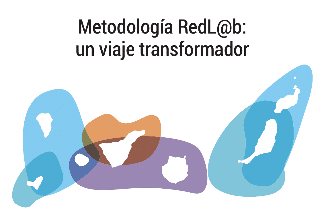 Guía Metodológica REDLAB 2025